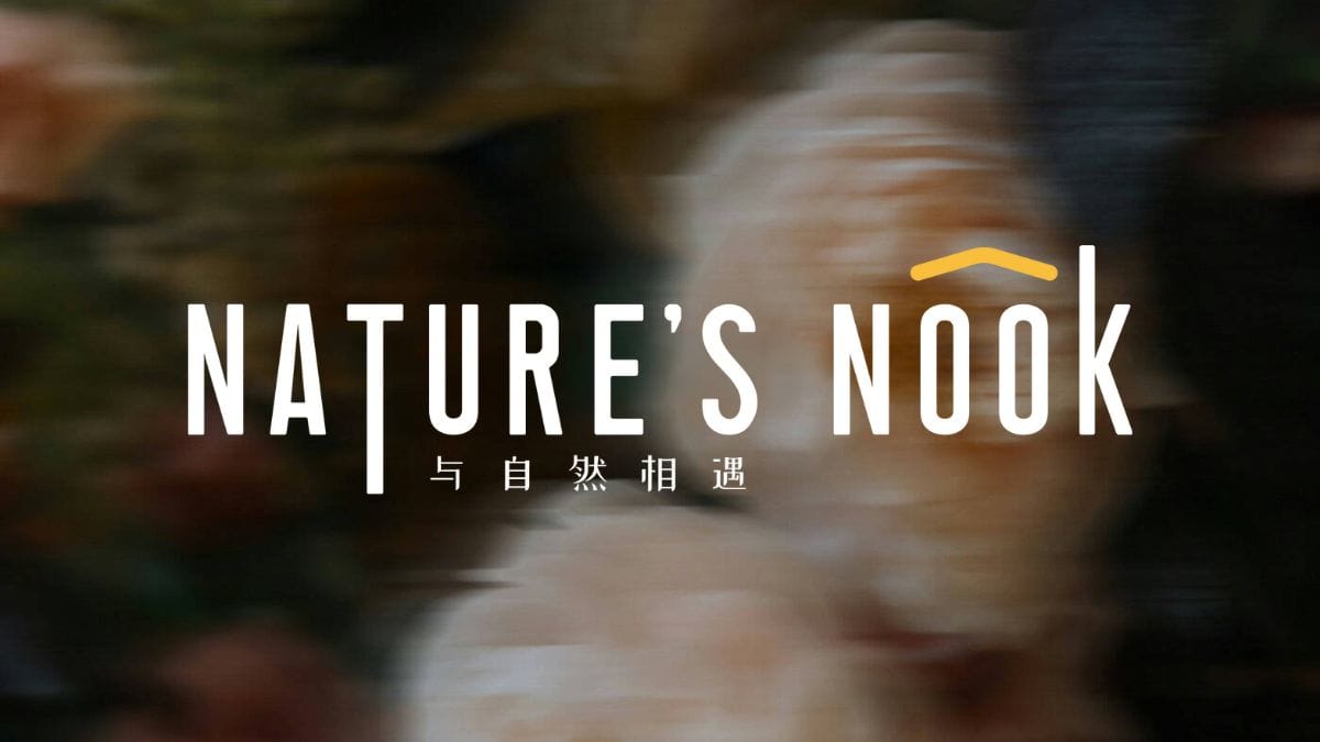 Home - Nature's Nook & Nature Studio